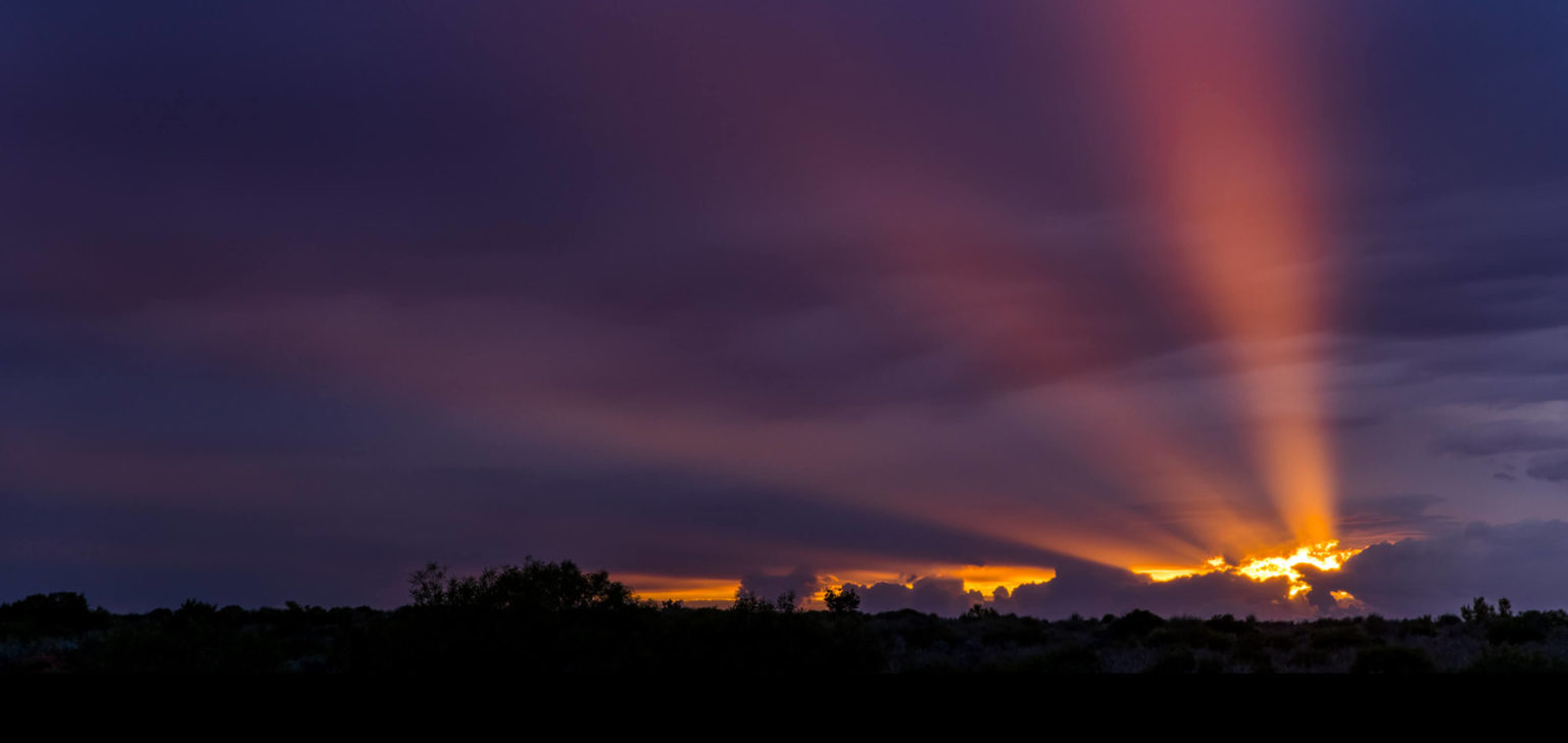 Reversing Cameras | ARB 4x4 Accessories